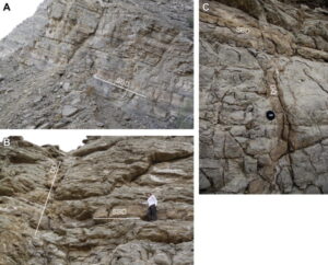 Interplay between depositional facies, diagenesis and early fractures ...