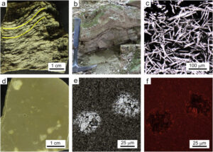 Multi-phase dolomitization and recrystallization of Middle Triassic ...
