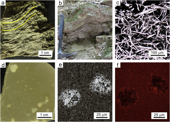 Multi-phase dolomitization and recrystallization of Middle Triassic ...