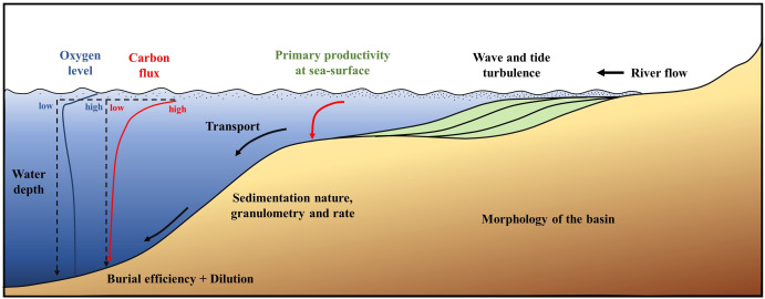 Predicting marine organic-rich deposits using forward stratigraphic ...