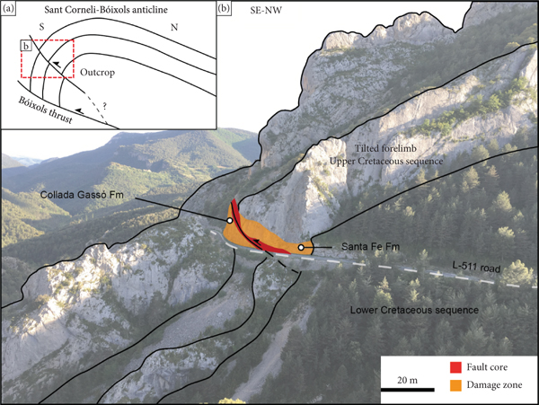 Fluid dynamics in a thrust fault inferred from petrology and ...