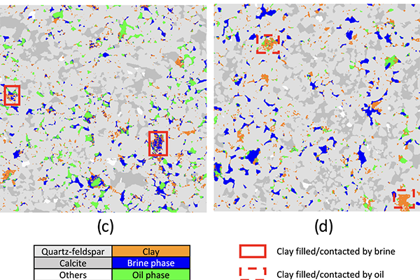 Fluid surface coverage showing the controls of rock mineralogy on the ...