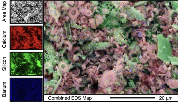 Exploring the potential of clumped isotope thermometry on coccolith ...