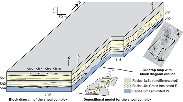 Impact of dynamic sedimentation on facies heterogeneities in Lower ...