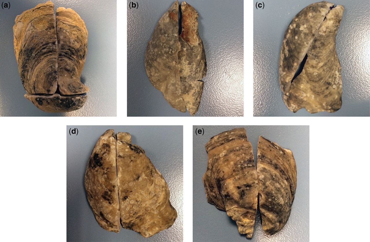 Burial estimates constrained by clumped isotope thermometry: example of ...