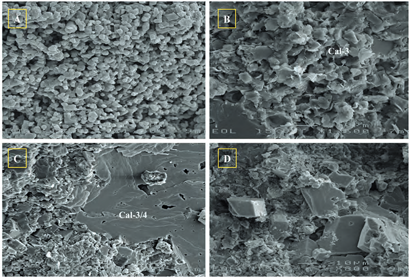 DIAGENESIS OF THE CENTRAL LUCONIA CARBONATE PLATFORMS: THE ROLES OF ...