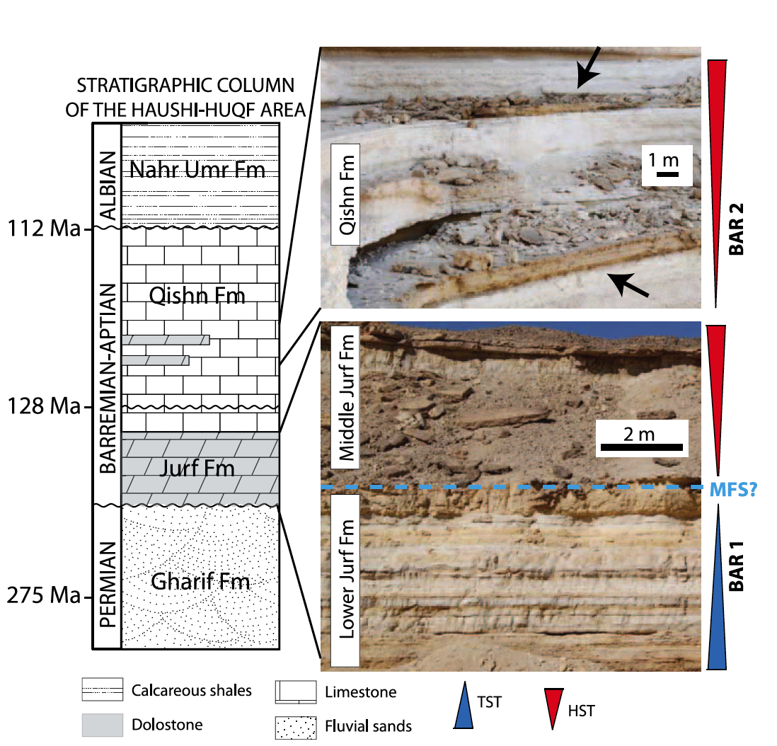 Dolomitization of Lower Cretaceous peritidal cabonates by modified ...